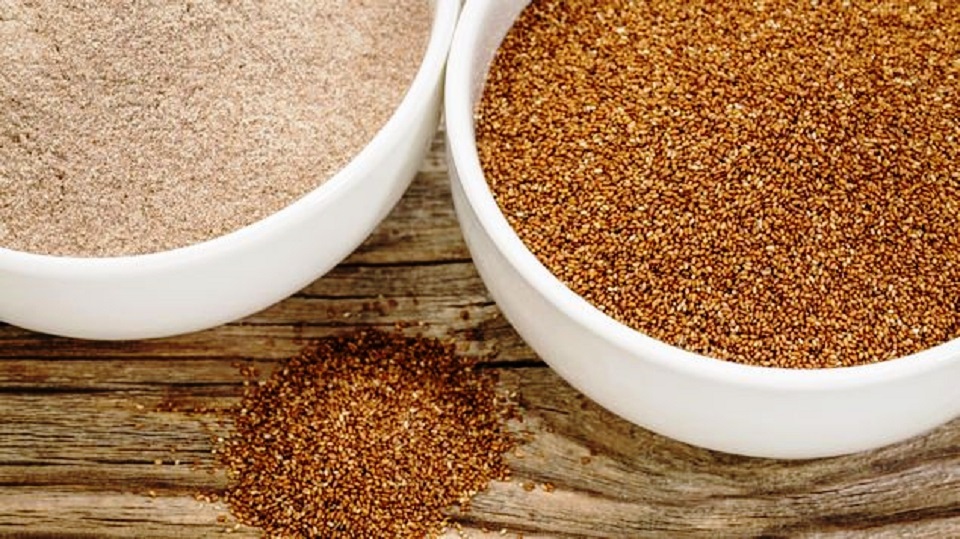 ¿HARINA INTEGRAL O REFINADA?...SI AMBAS PROVIENEN DEL TRIGO. - Todo En ...