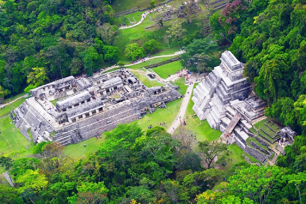 PALENQUE Y SUS 41 AÑOS DE SER ÁREA NATURAL PROTEGIDA - Todo En Noticia