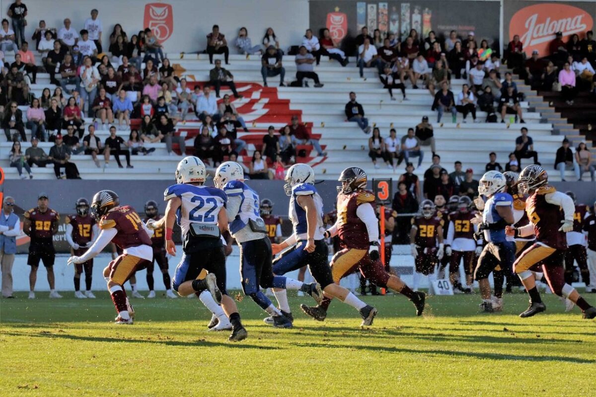 SEIS TRIUNFOS AL HILO LLEVAN A LOS TECOS A PLAYOFFS EN EL AMERICANO ...